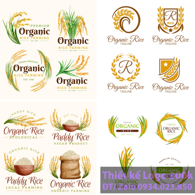 Thiết kế logo bông lúa, GIÁ RẺ 300K ĐẸP CHUYÊN NGHIỆP - WIO