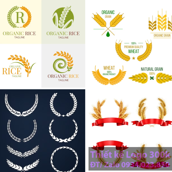 Thiết kế logo bông lúa, GIÁ RẺ 300K ĐẸP CHUYÊN NGHIỆP - WIO
