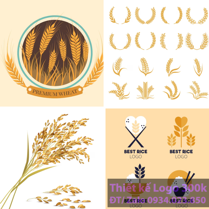 Thiết kế logo bông lúa, GIÁ RẺ 300K ĐẸP CHUYÊN NGHIỆP - WIO